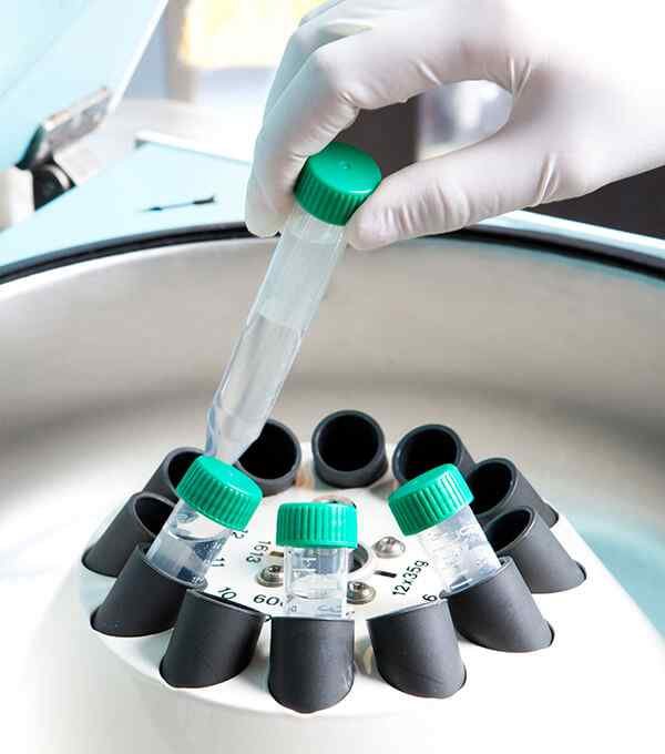 M&S Lab